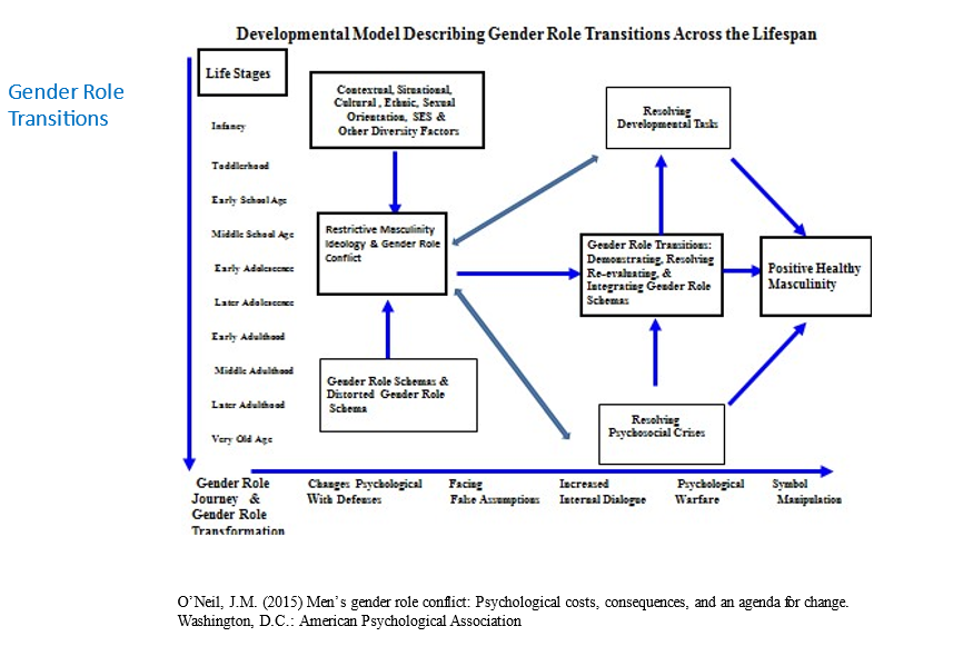 Gender Role Journey Theory, Therapy, & Contexts – Gender Role Conflict ...